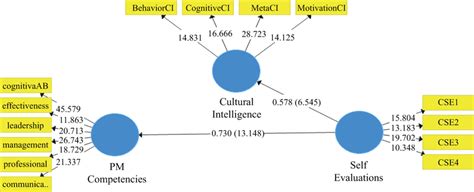 first level structural equation model path coefficients and t values