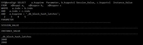 Data Buffer Cache