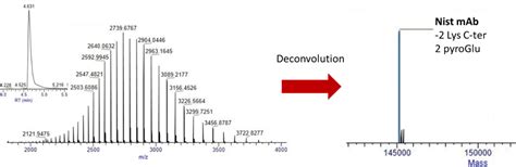 Intact Mass Analysis Of A Monoclonal Antibody Anaquant Hcp Analysis I