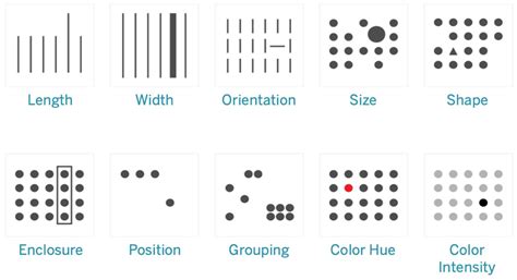 apply visualization attributes and principles salesforce trailhead