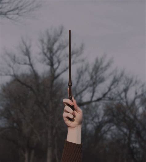 Nitwit Blubber Oddment Tweak Harry Potter Aesthetic Hogwarts