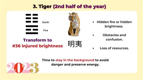 Fire Tiger Chinese Zodiac 2023 60 Photos