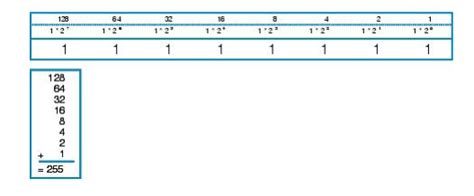 IPv Addressing And Subnetting Cyber Security Networking Technology Courses And Blog
