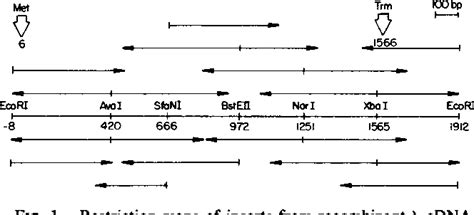figure 1 from isolation and characterization of a cdna clone for the