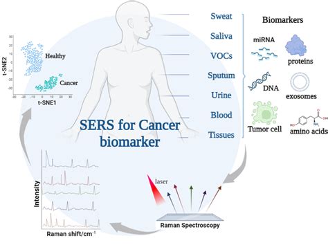 Figure 1 From Sers Sensing For Cancer Biomarker Approaches And