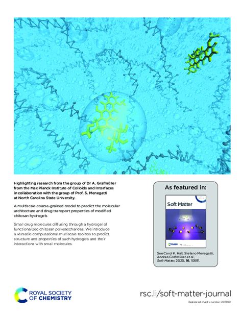 Pdf A Multiscale Coarse Grained Model To Predict The Molecular Architecture And Drug Transport