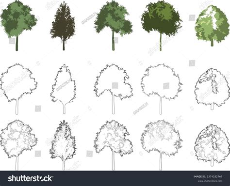 Oak Tree Outline Images Stock Photos D Objects Vectors Shutterstock