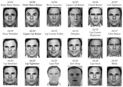 Sensors Free Full Text Explainable Depression Detection Based On Facial Expression Using