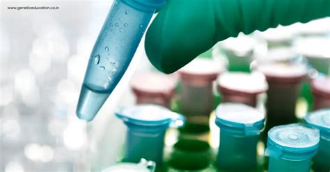 How To Order Store And Use Pcr Primers Genetic Education