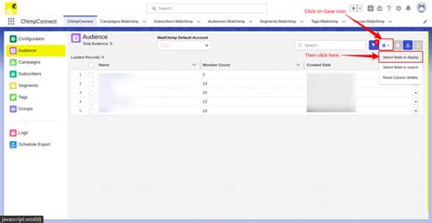 mailchimp salesforce integration and connector email marketing