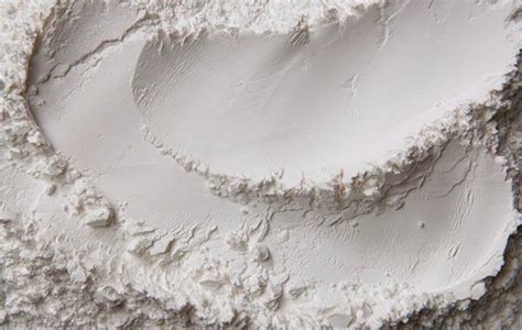 Manage Multiple Instruments In A Nir Network With Fossassure Indifoss