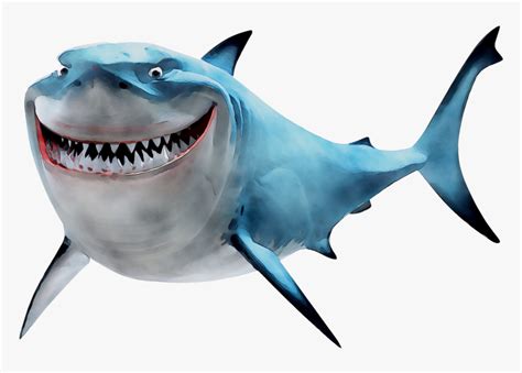 Bruce Great White Shark Portable Network Graphics Finding Bruce