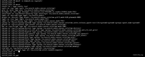 centos 8 进入紧急救援模式 centos8进入紧急模式 csdn博客
