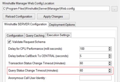 Winshuttle Server Admin Tool Guide The Execution Settings Tab