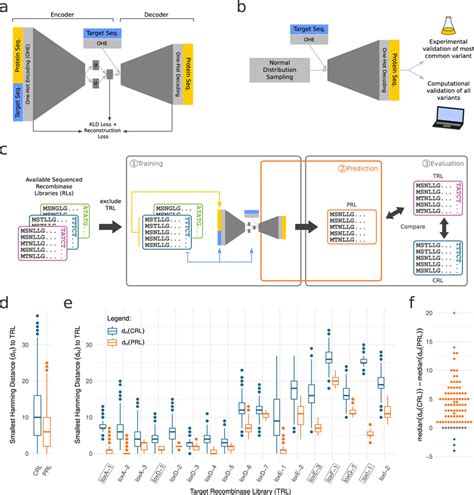Training And Computational Validation Of Recgen A A Conditional
