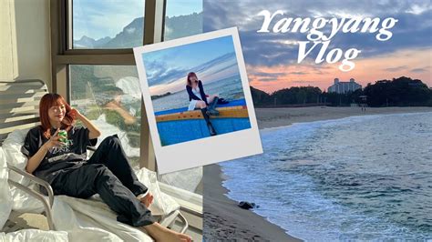Vlog 먹고 마시고 취하는 양양 브이로그 🌊 Youtube