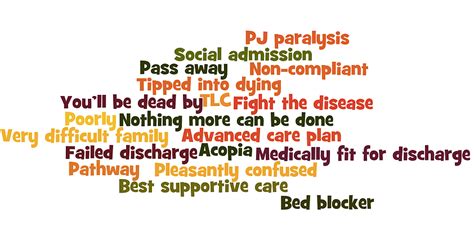 Pejorative Words Or ‘the Bed Blocker With Acopia In Bed 14 That Passed Away Having Lost Her