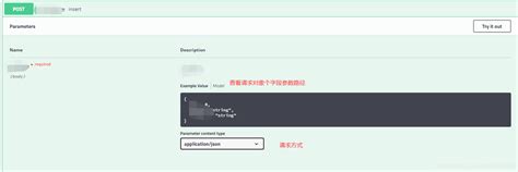 前端看懂swagger文档前端人员怎么访问swagger文档 Csdn博客