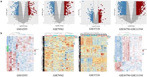 Integrated Bioinformatics Analysis Reveals The Aberrantly Methylated Differentially Expressed