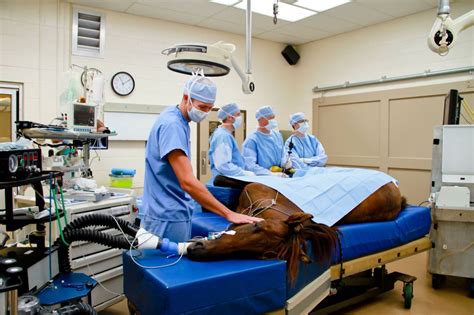 Rood And Riddle Equine Hospital In Lexington Vets Large Animal Vet