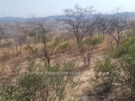 Mhondoro Ngezi Farm And Agricultural Land In Zimbabwe Zw