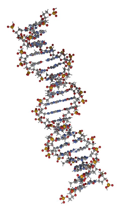 atomic blender pdb xyz — blender manual
