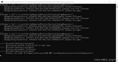 Net8入门：5aspnet Core中的依赖注入diaddkeyedsingleton Csdn博客
