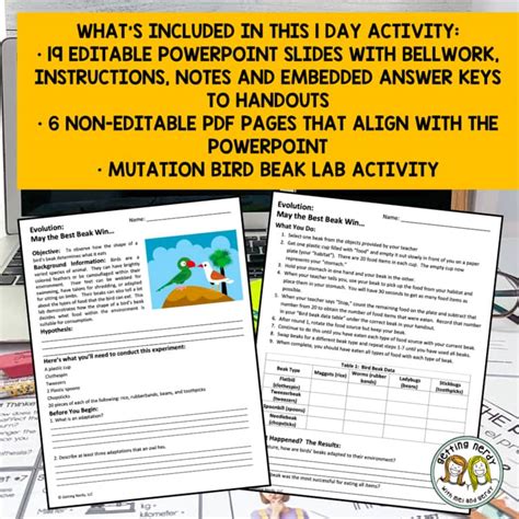 Evolution Adaptation Mutation And Natural Selection Notes And Bird Beak Lab