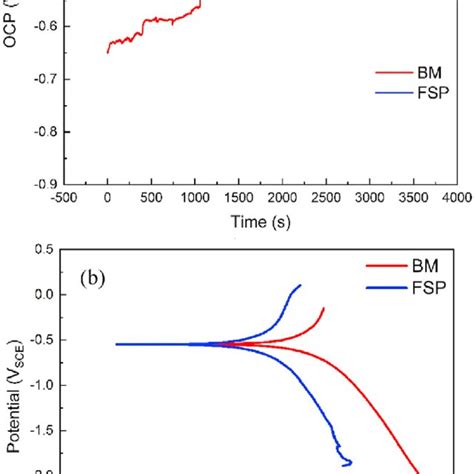 E Electrochemical Behavior Of Bm And Fsp A Ocp Vs Time And B Download Scientific Diagram