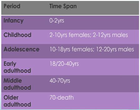 Chapter Motor Development Positioning And Handling To Foster Motor Function Flashcards