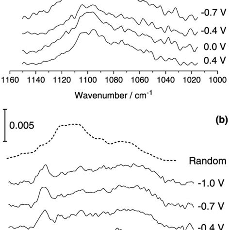 Structures Of A Dipalmitoylphosphatidylcholine Dppc And B Download Scientific Diagram