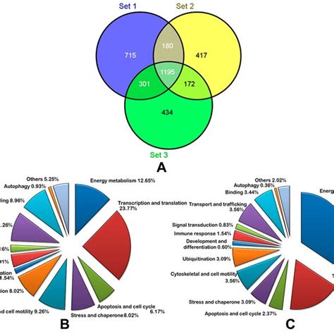 Analysis Of Proteomics Data A Venn Diagram Created Using The Program