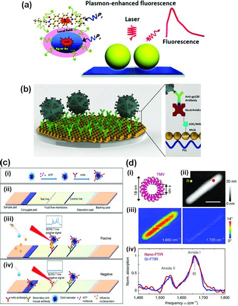 Surface Enhanced Plasmonic Sensor A Schematic Of The Surface Enhanced Download Scientific