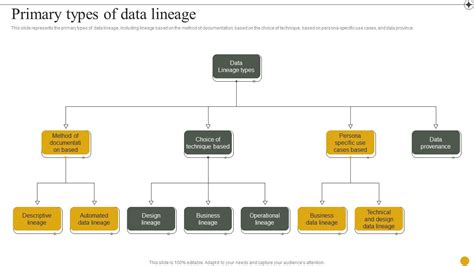 Data Lineage It Primary Types Of Data Lineage Ppt Powerpoint Presentation Icon Infographic