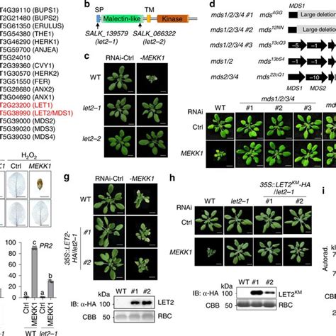 Libo Shans Research Works Texas Aandm University Texas Tamu And Other Places