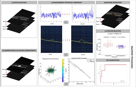 Figure 1 From Novel Fractal Based Sub Rpe Compartment Oct Radiomics