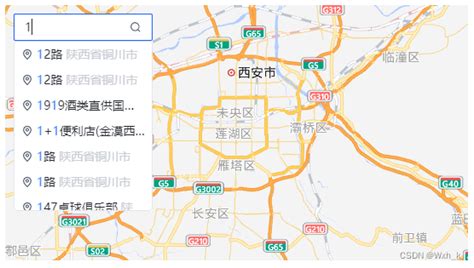 vue 高德api调用失效，爬坑 高德地图js api 被取消的请求 csdn博客