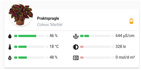 Create A Plant Sensor Card Within Home Assistant Our Smart Home And Garden