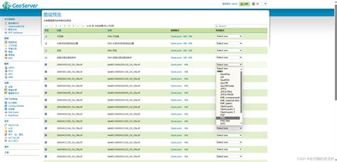 Mapbox加载geoserver发布的矢量、栅格图层viewbounds Bbox Epsg 3857 Csdn博客