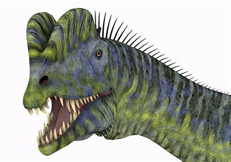 Dilophosaurus Dino Encyclopedia