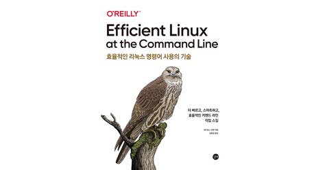 효율적인 리눅스 명령어 사용의 기술 효율적인 리눅스 명령어 사용의 기술 Book