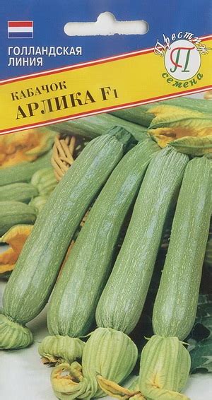 Кабачок Арлика 5шт (Голландия)