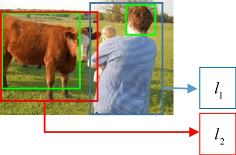 similarities in two different labels the blue and red rectangles are
