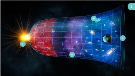 Interactive Cell Poster