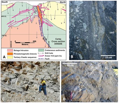 Examples Of Structural Control On Mineralization In Dominantly Download Scientific Diagram