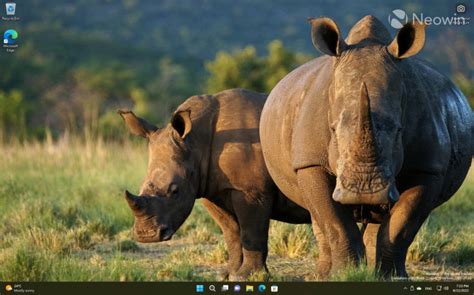 Windows 11 Servicing Build 25182 1010 KB5017600 Released To Dev Channel Neowin