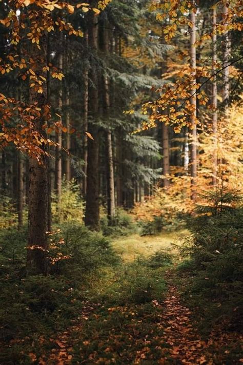 Magician Eva On Tumblr