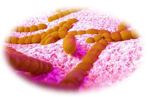 Mercks 21 Valent Adult Pneumococcal Vaccine Meets Key Endpoints In