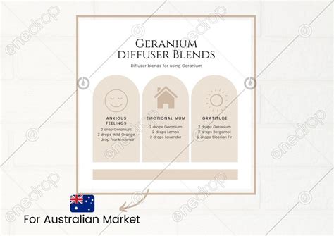 Geranium Diffuser Blends By Oily Hand