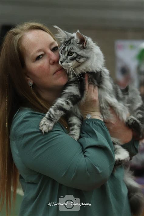 The Team — Fancy Cats